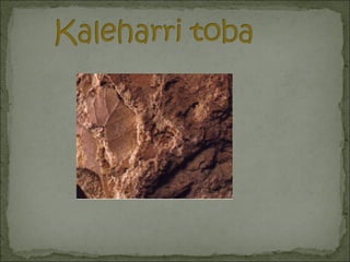 Harri sedimentarioak | PPT