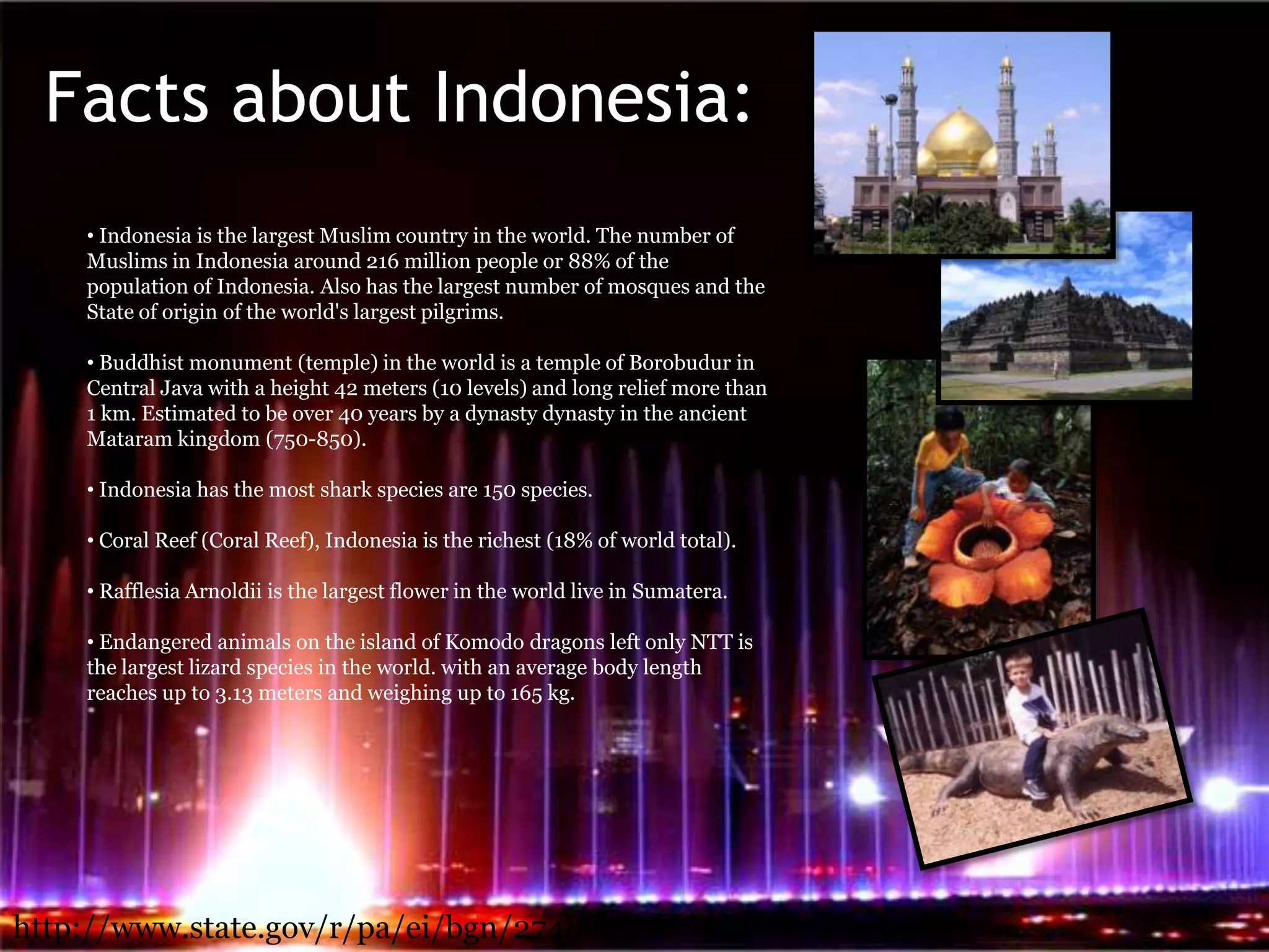 My Presentation of Indonesia | PPTX