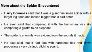 Harry Coumnas – Encountered a Giant Spider in a Rainforest of Colombia ...