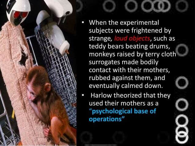 HARRY F HARLOW | PPTX