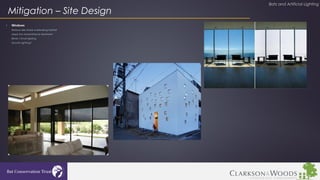 PLS 2018: The newly updated ‘Bats and Lighting’ guidance (2018) for the ...