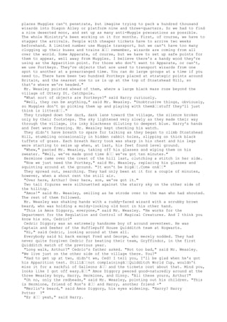 Harry potter and the goblet of fire 402438 | TXT