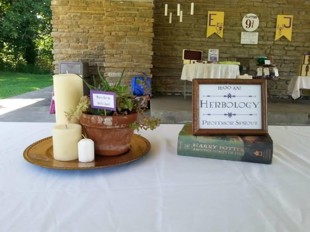 Harry Potter Couple's Shower | PDF
