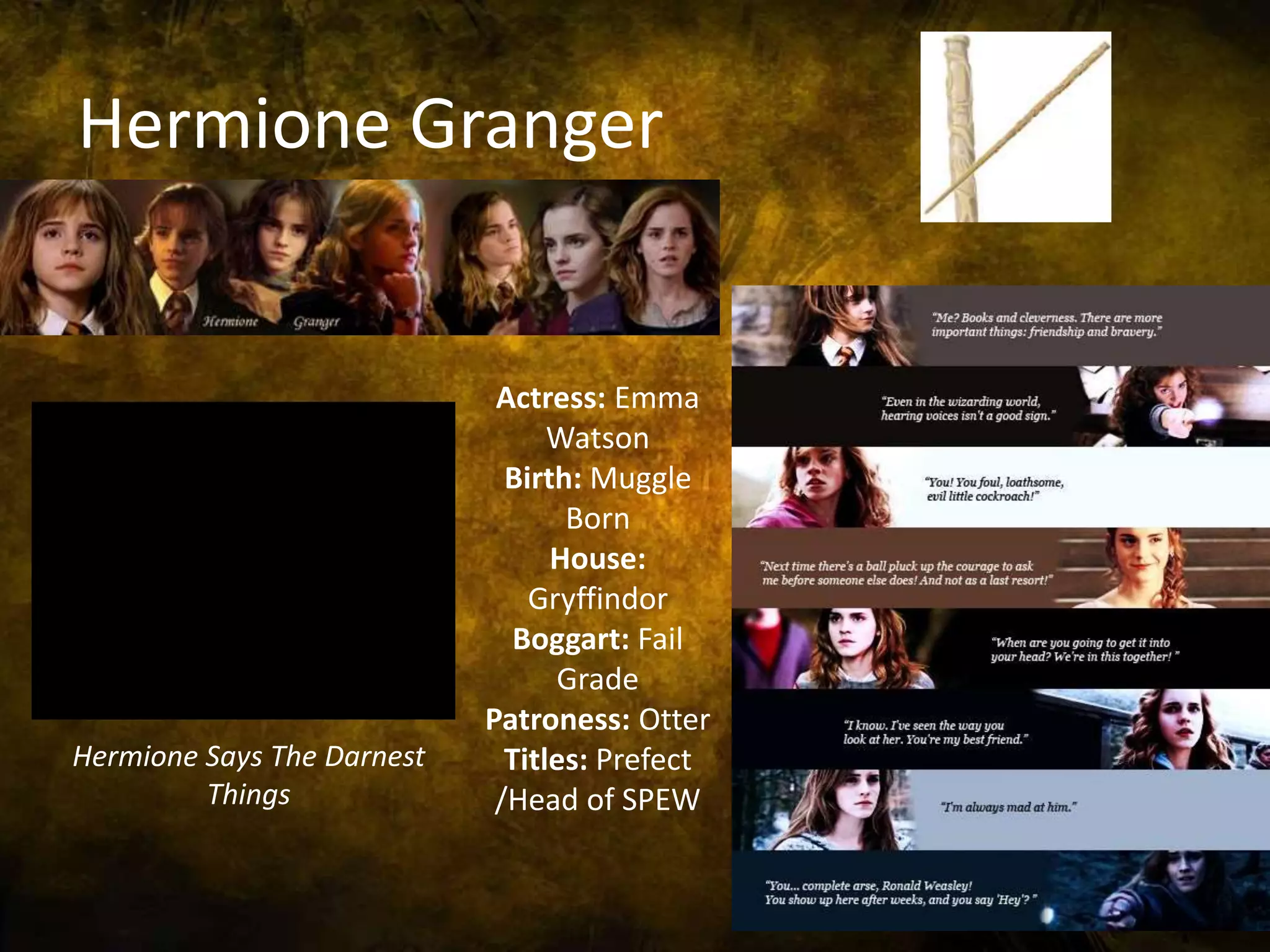 Harry potter powerpoint | PPTX