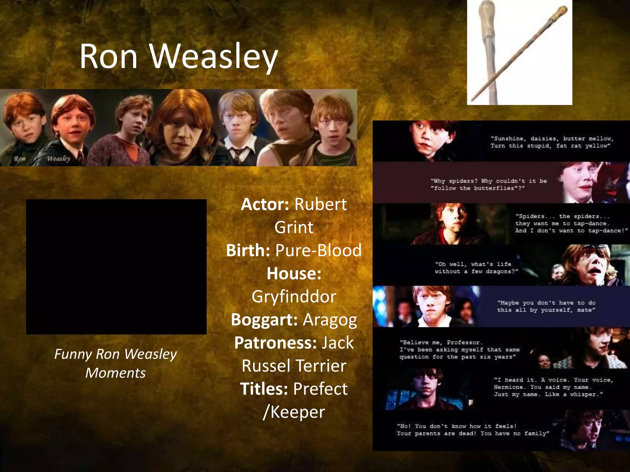 Harry potter powerpoint | PPT
