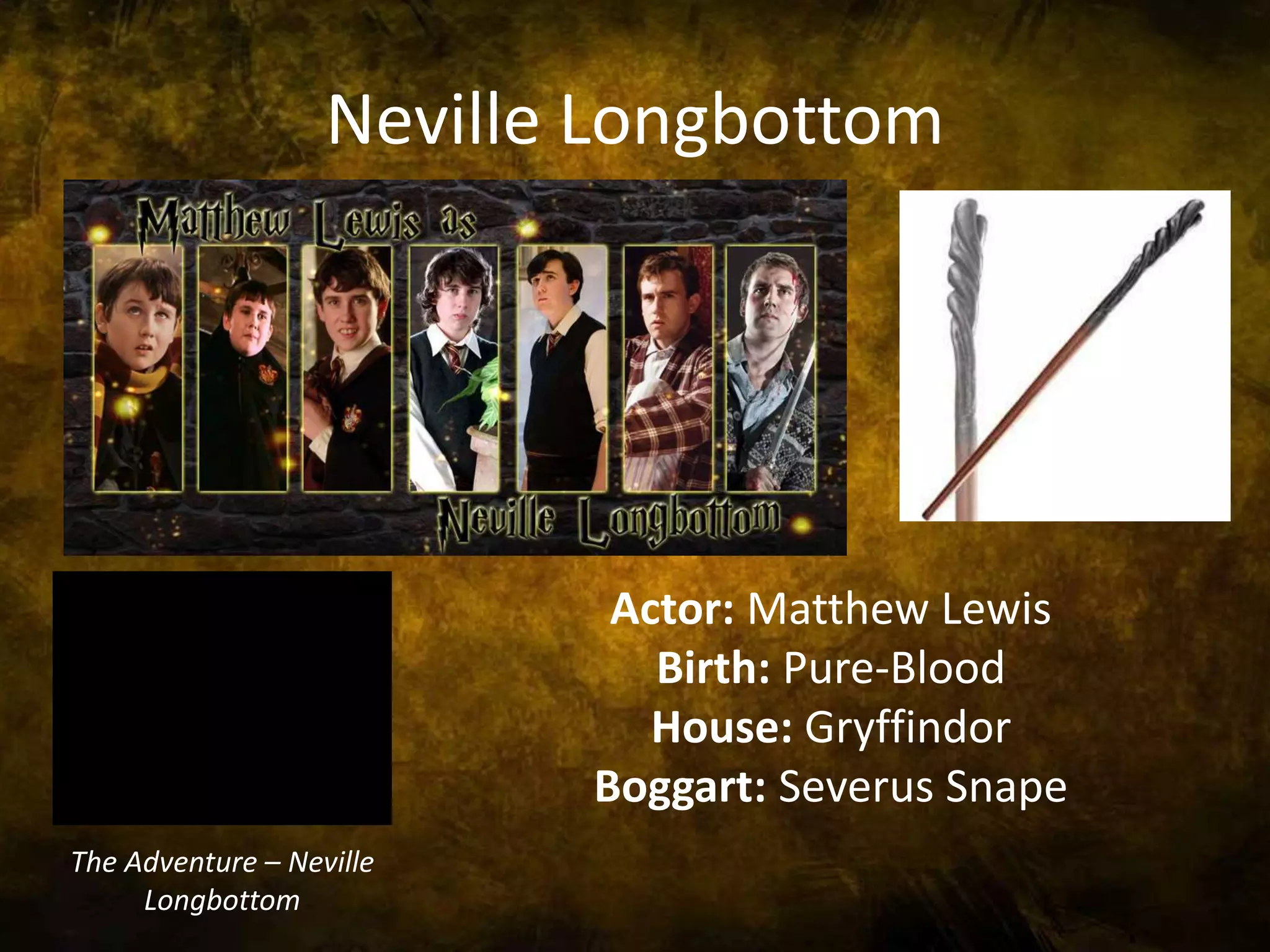 Harry potter powerpoint | PPTX