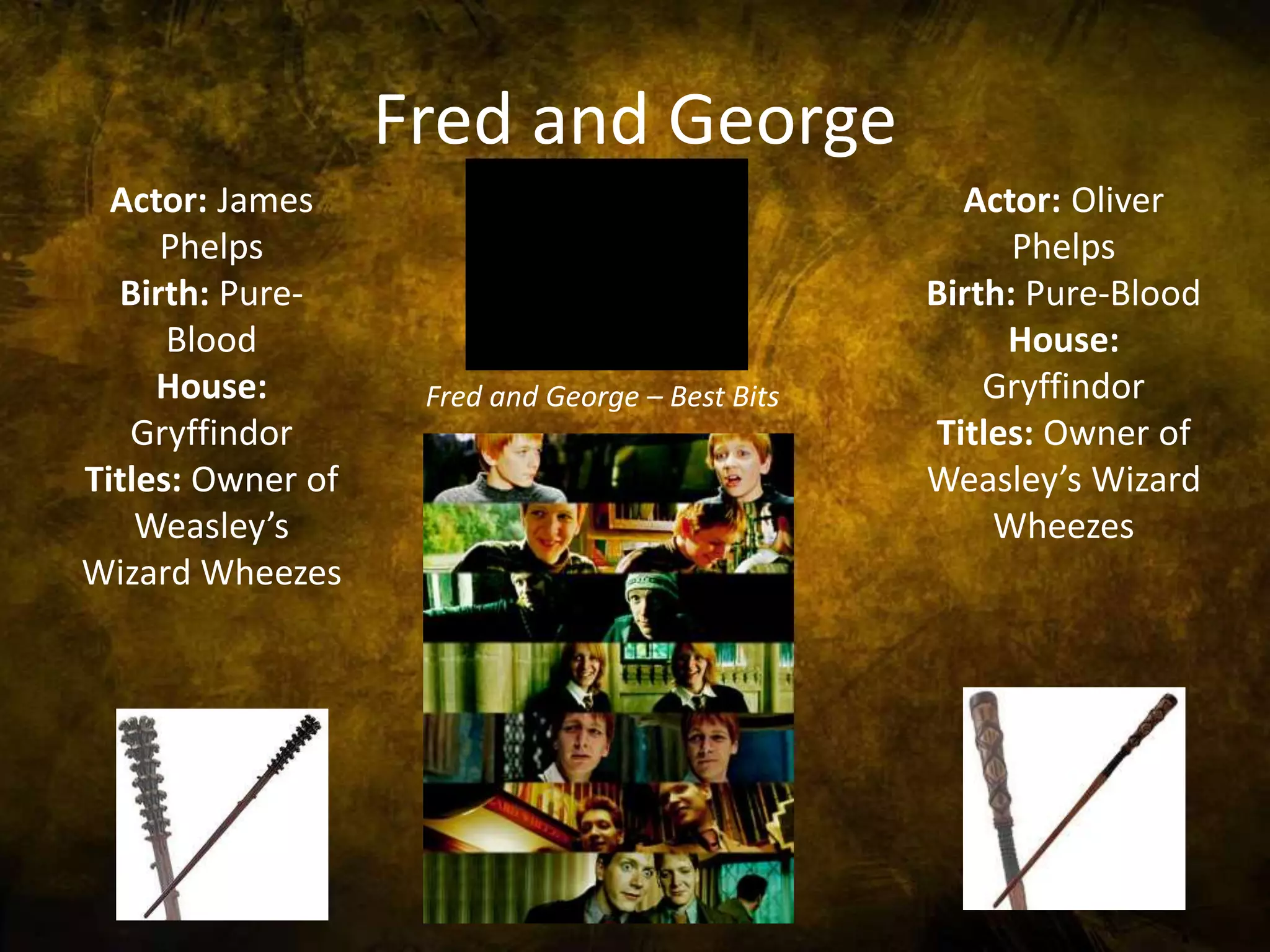 Harry potter powerpoint | PPT
