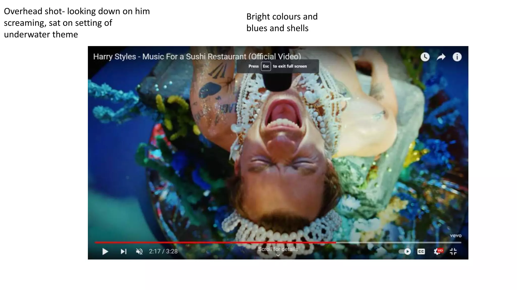 Harry Styles music video deconstructed.pptx
