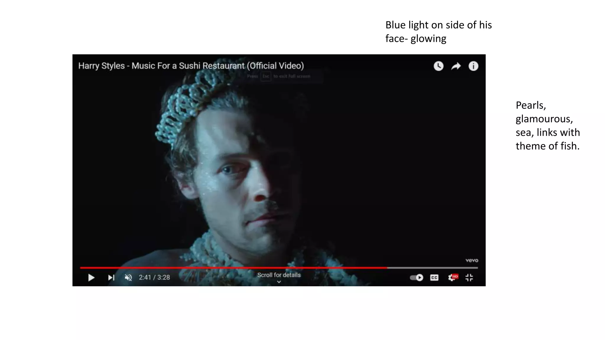 Harry Styles music video deconstructed.pptx