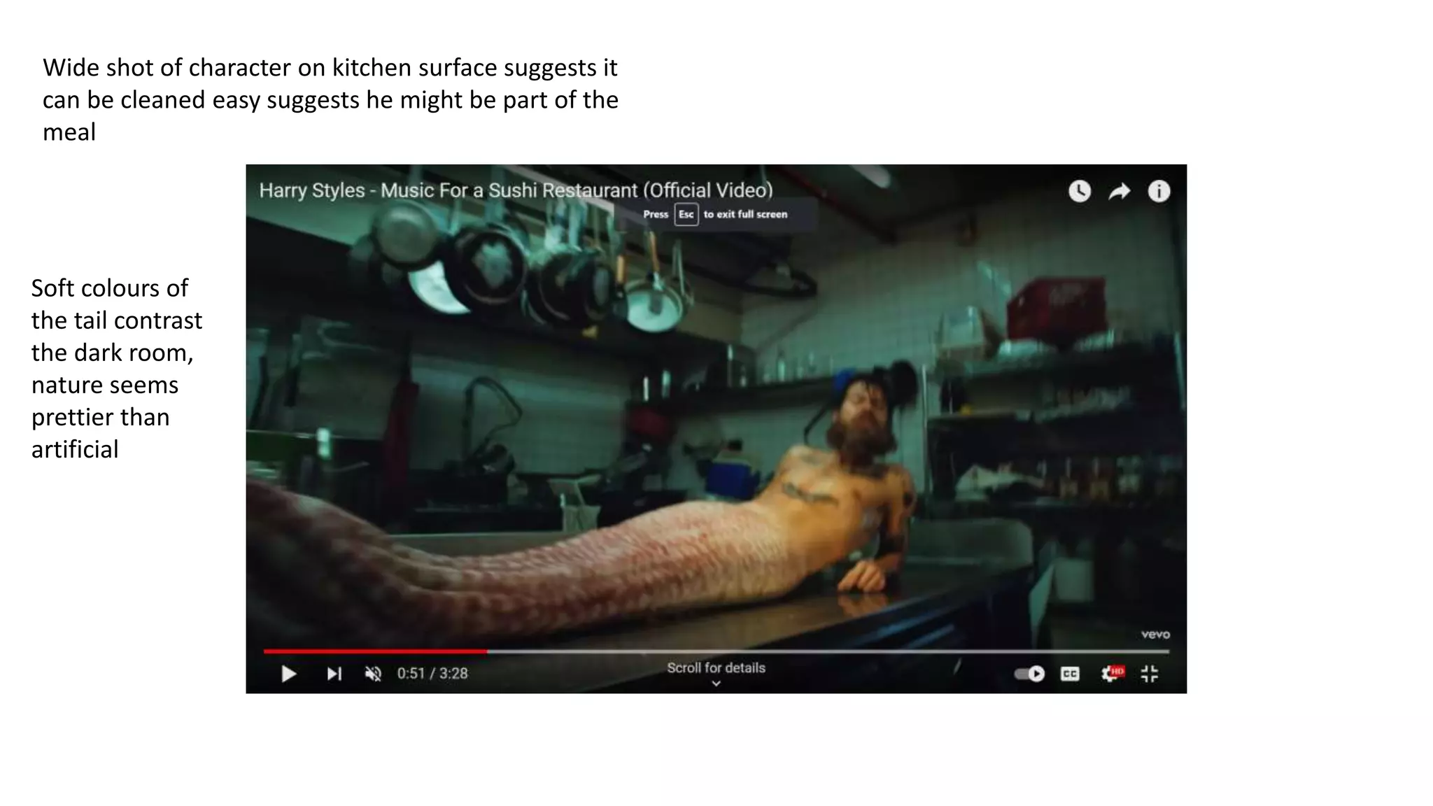 Harry Styles music video deconstructed.pptx