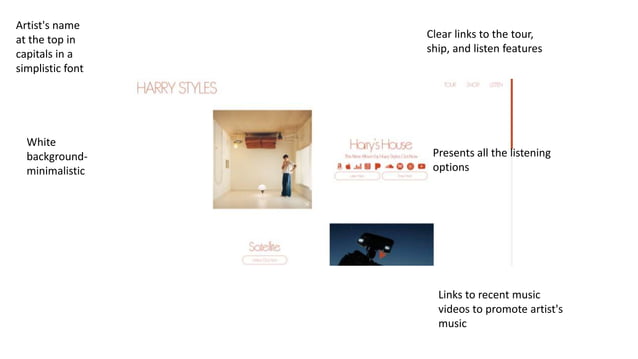 harry styles website.pptx