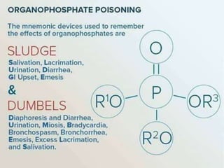 OP poisoning | PPTX