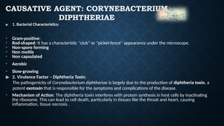 Corynebacterium diphtheria and other coryneforms | PPT