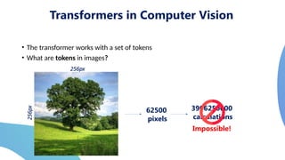 Transformers in vision and its challenges and comparision with CNN | PPTX