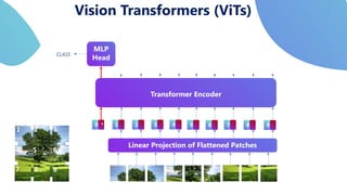 Transformers in vision and its challenges and comparision with CNN | PPTX