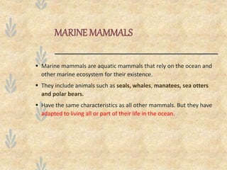 Endangerd marine mammals and sea birds | PPTX