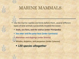 Endangerd marine mammals and sea birds | PPTX