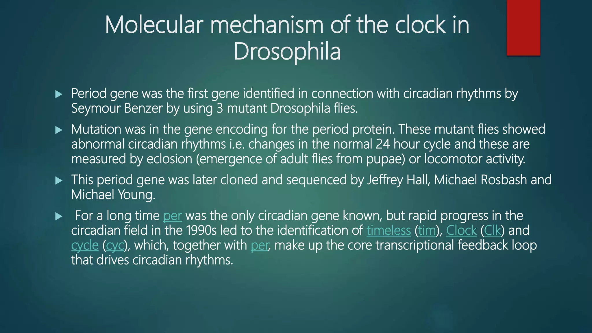 CIRCADIAN RHYTHMS | PPTX