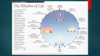 CIRCADIAN RHYTHMS | PPTX