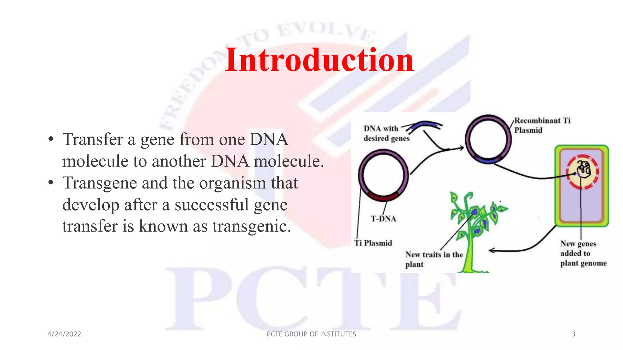 Direct DNA transfer to plants | PPTX