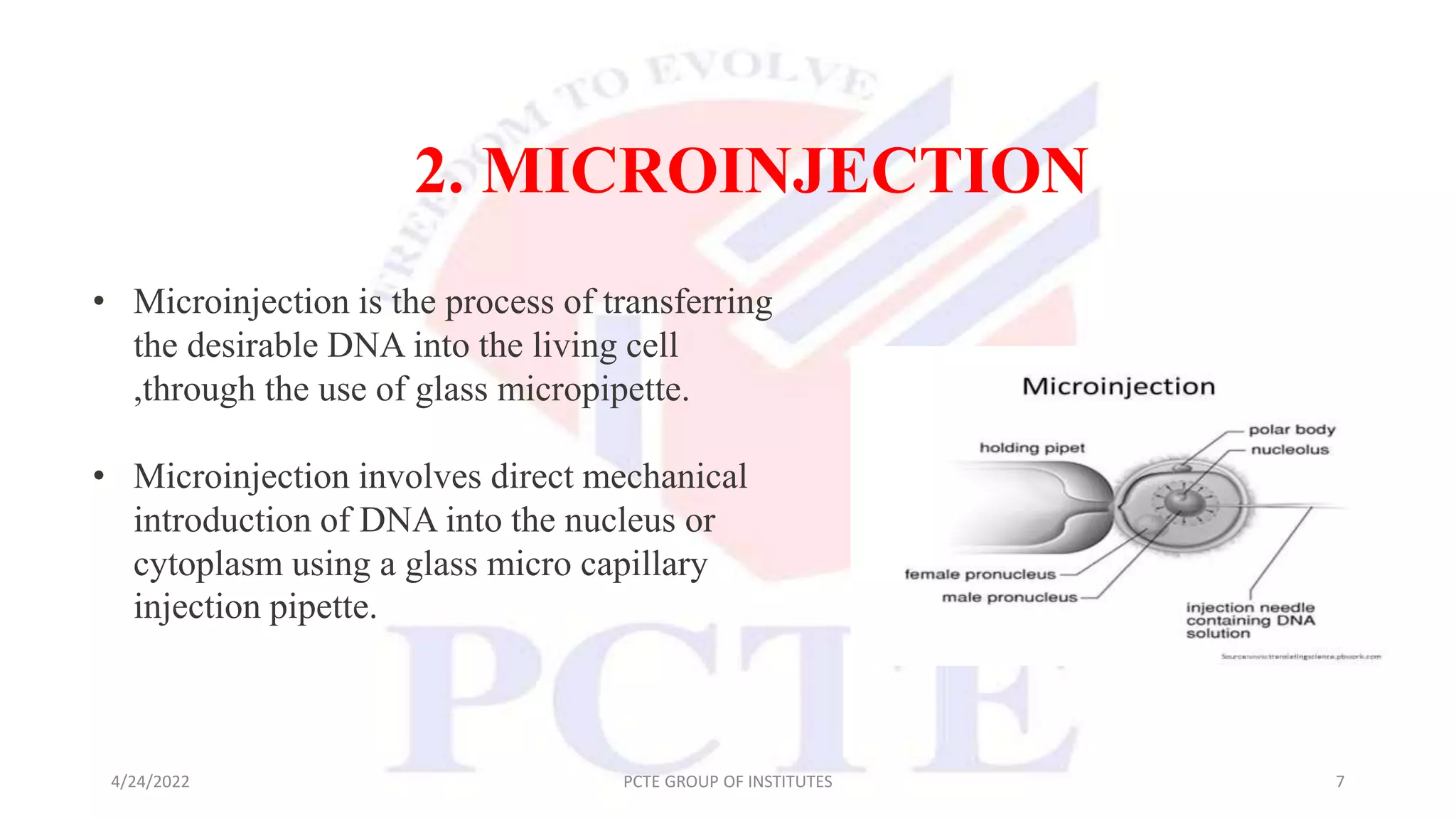 Direct DNA transfer to plants | PPTX