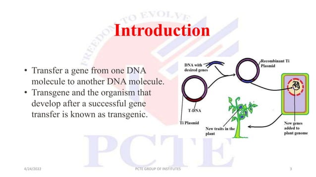 Direct DNA transfer to plants | PPTX | Biotech and Biomedical Industry ...