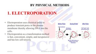 Direct DNA transfer to plants | PPTX