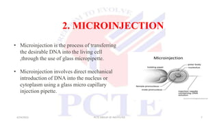 Direct DNA transfer to plants | PPTX