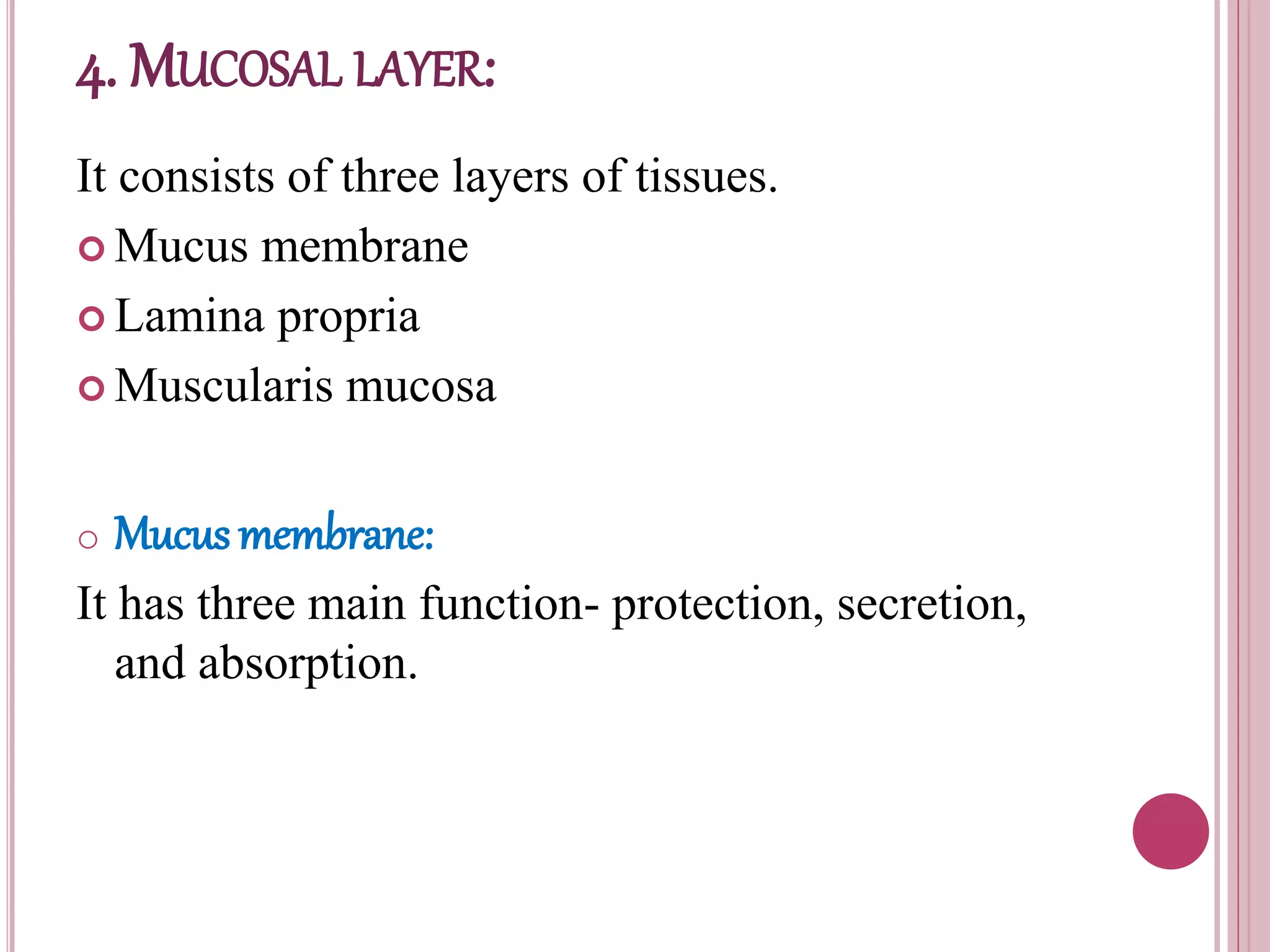Anatomy and physiology of GI system and Diagnostic techniques | PPTX