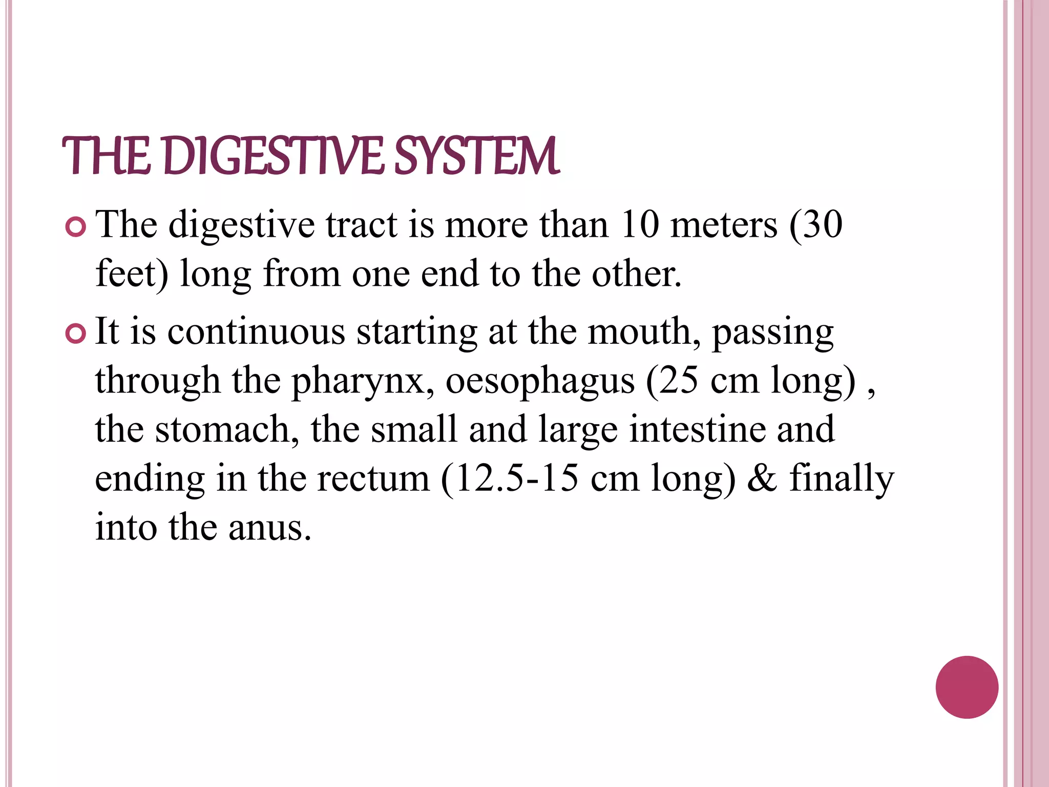 Anatomy and physiology of GI system and Diagnostic techniques | PPTX