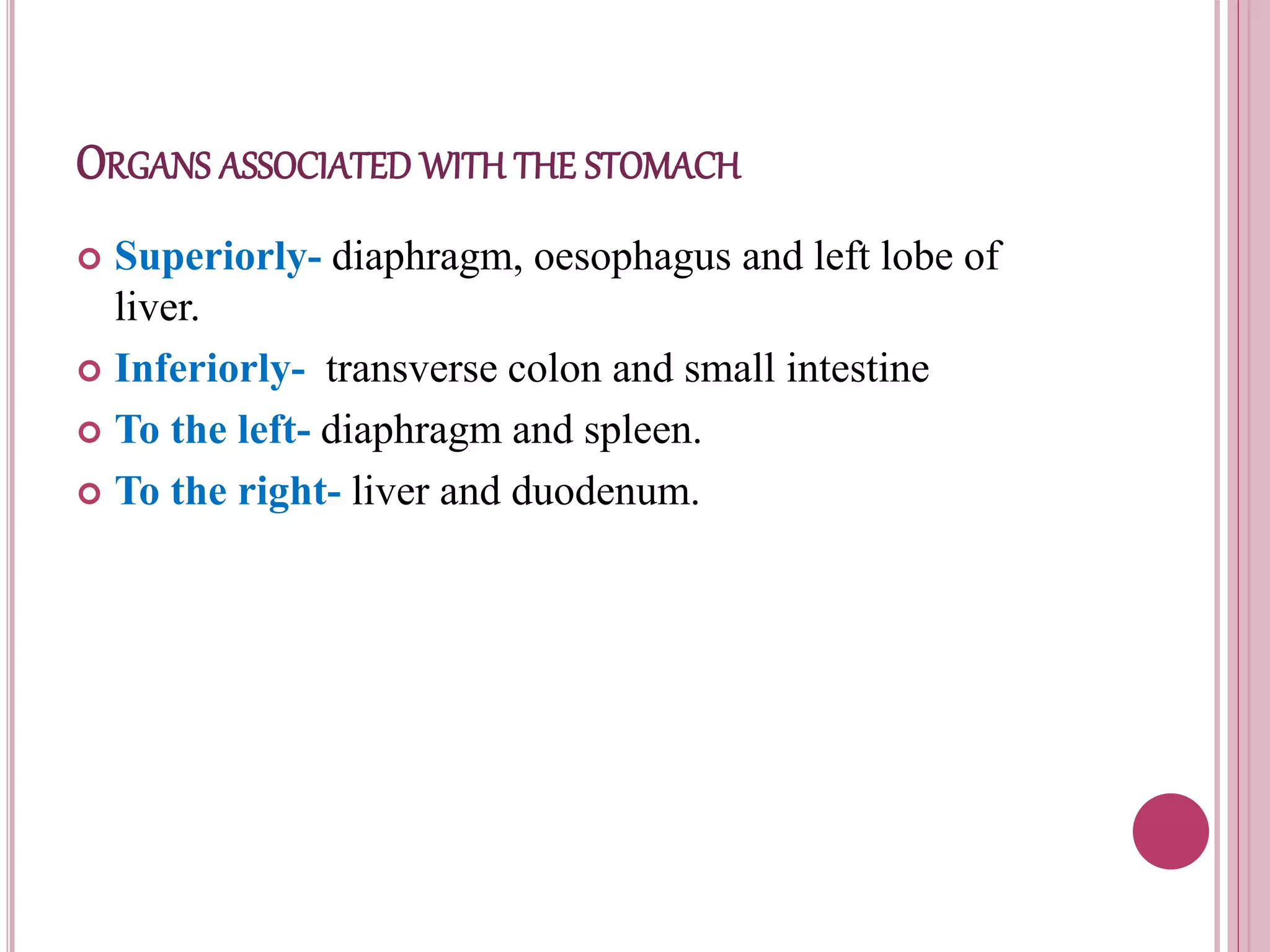Anatomy and physiology of GI system and Diagnostic techniques | PPTX