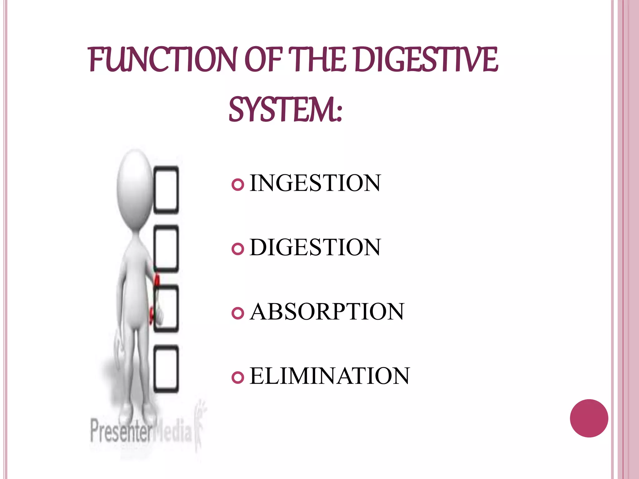 Anatomy and physiology of GI system and Diagnostic techniques | PPTX