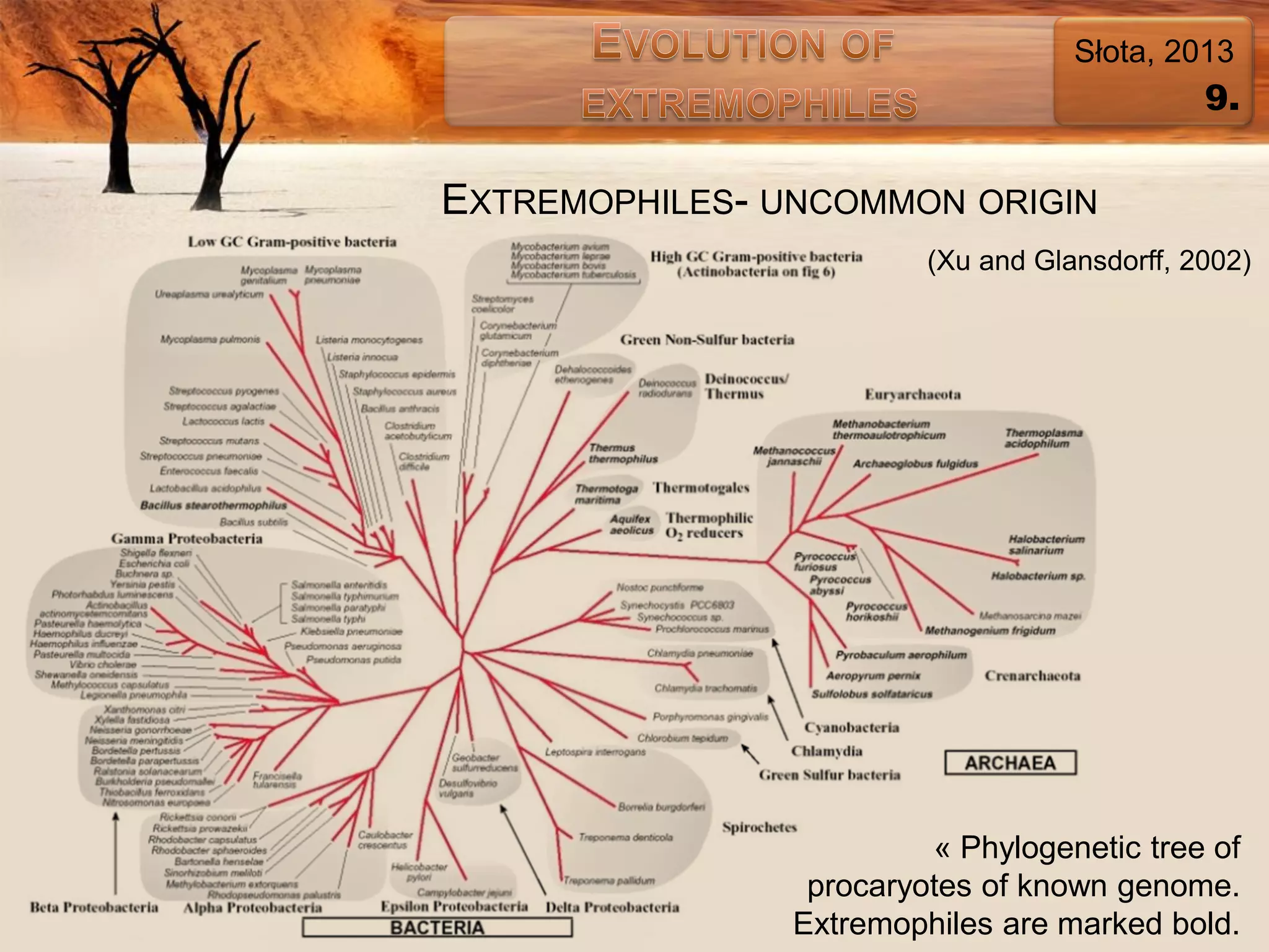 Genetic basis and evolution of heavy metal tolerance in plants | PDF