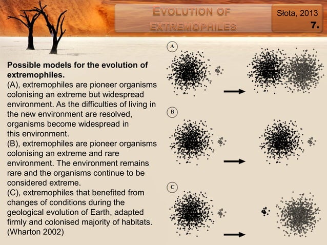 Genetic basis and evolution of heavy metal tolerance in plants | PPT
