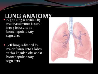 DR Harshil Radiology HRCT | PPTX