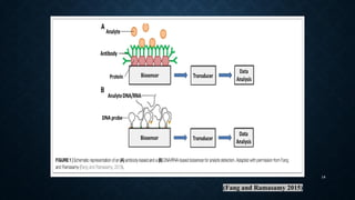 Biosensors in plant pathogen detection | PDF
