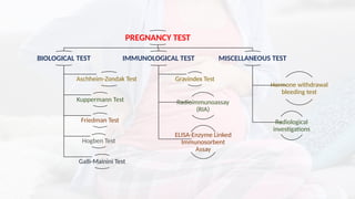 Pregnancy diagnosis in women by doctor.pptx
