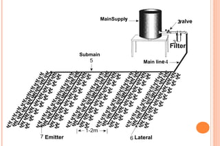 PEPSEE SYSTEM OF IRRIGATION | PPT