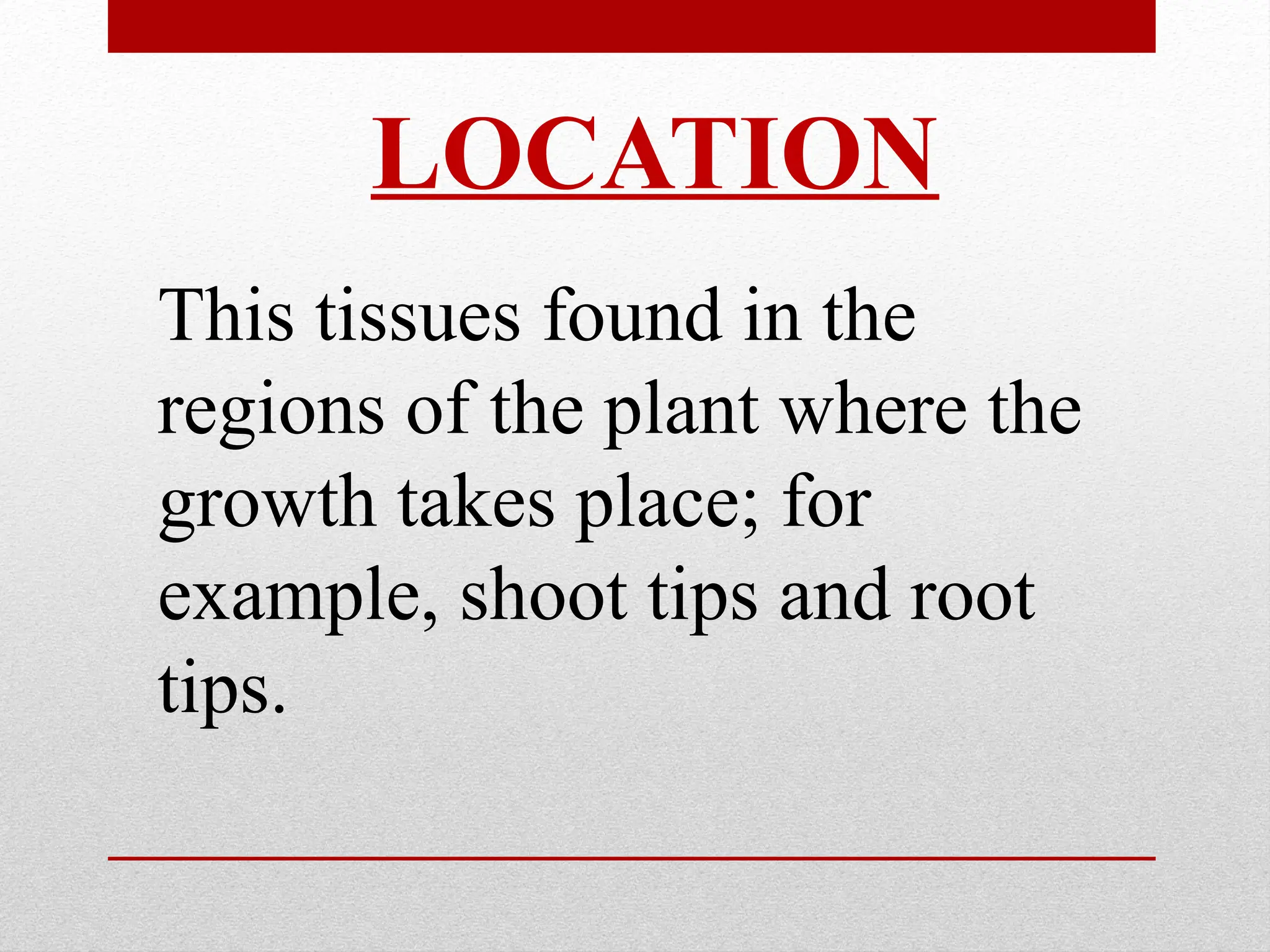 Harshith H K Biology Ln 1 Meristematic tissue.pptx
