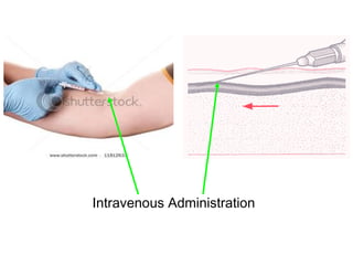 Routes of Drug administration - Pharmacology | PPT