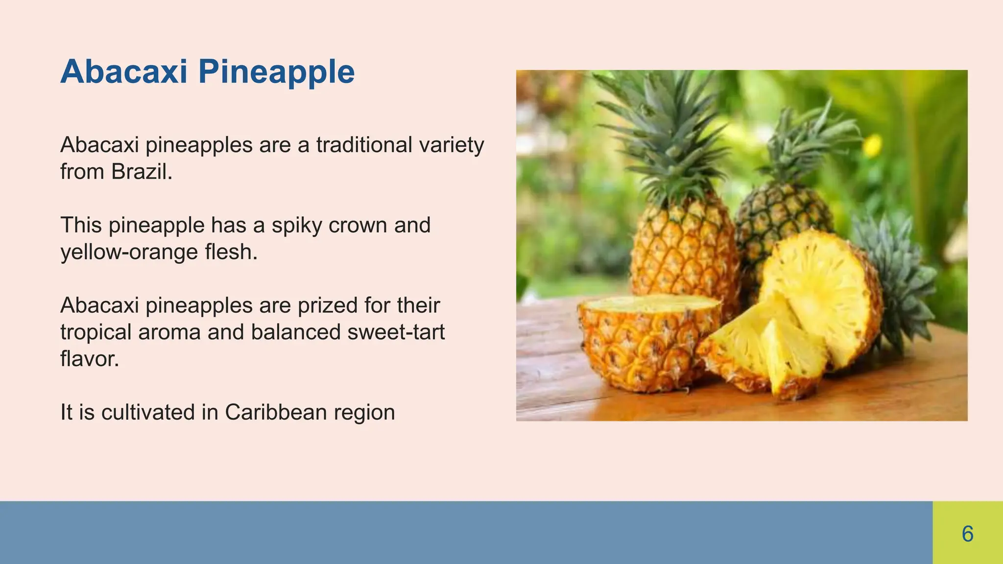 Varietal classification of pineapple .ppt