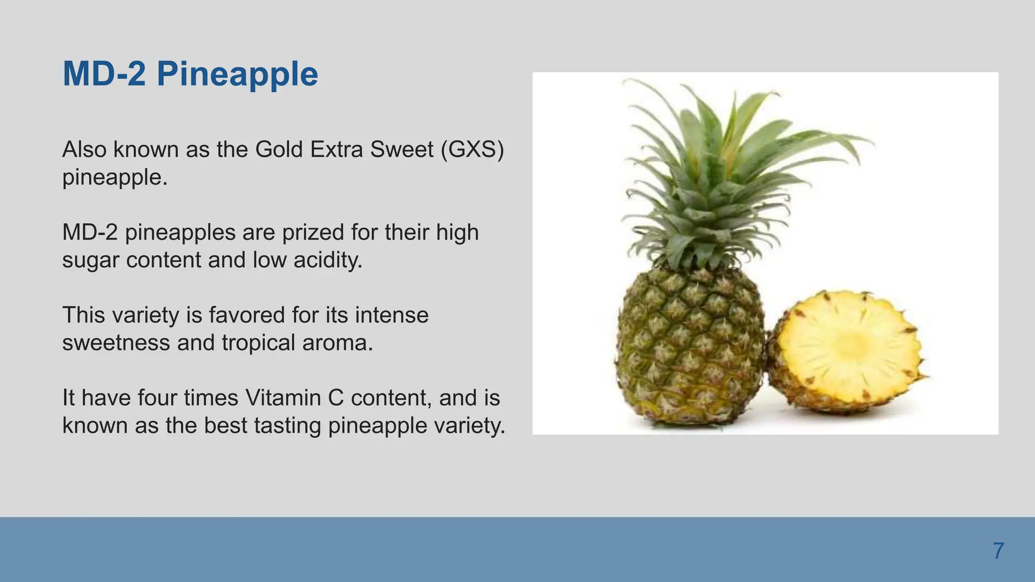 Varietal classification of pineapple .ppt