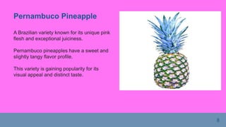 Varietal classification of pineapple .ppt