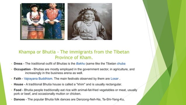 Harsh Verma, Class 9-Art Integrated Project (Sikkim).pptx