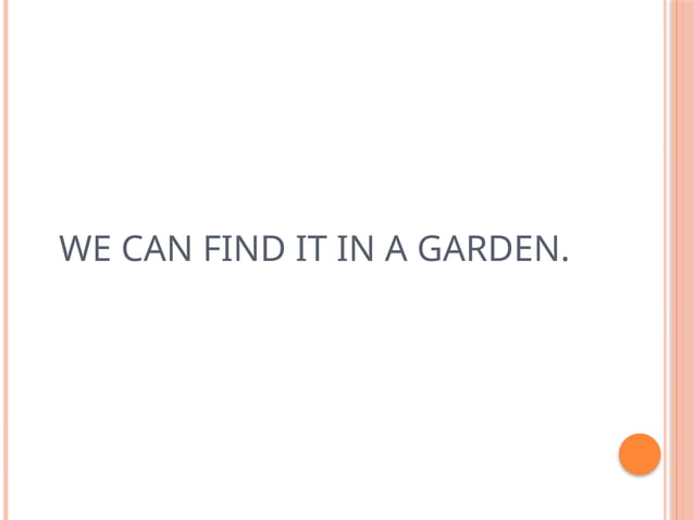 Who am i poem in english lesson.pptm.pptx