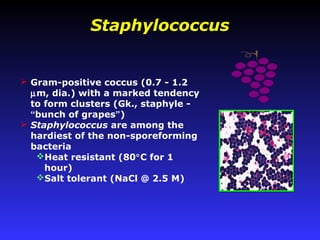 Current Issues in Foodborne Illness Caused by Staphylococcus aureus ...