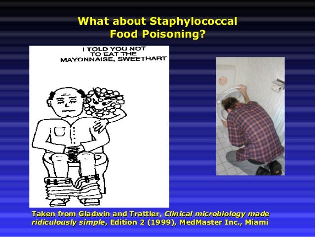 Current Issues in Foodborne Illness Caused by Staphylococcus aureus
