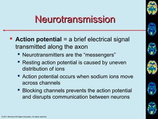 Hart13 ppt ch04 | PPT