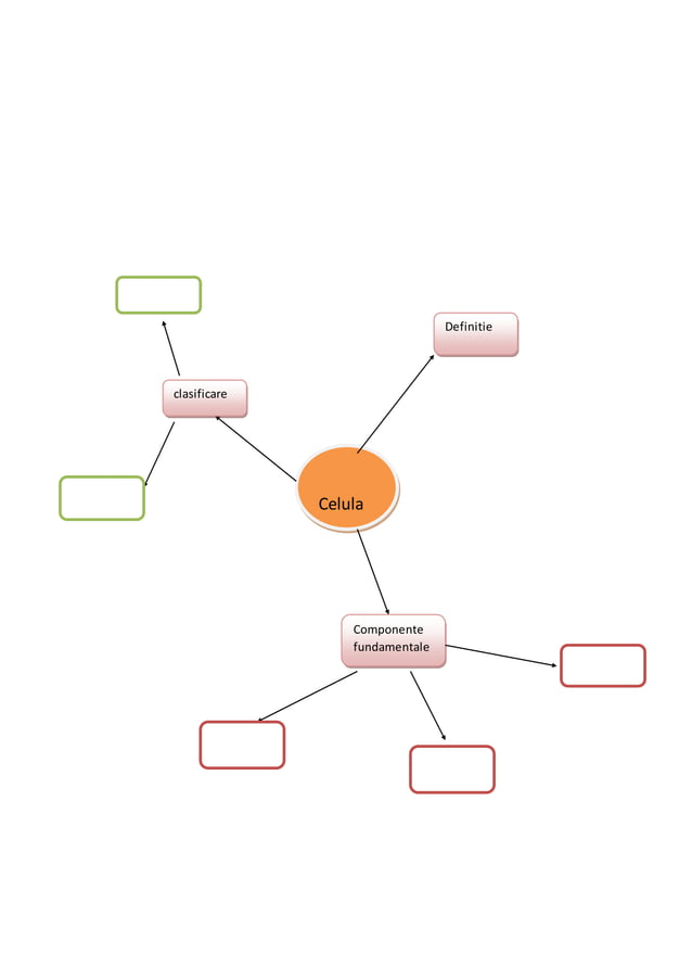 Harta conceptuala - celula Ek | PDF