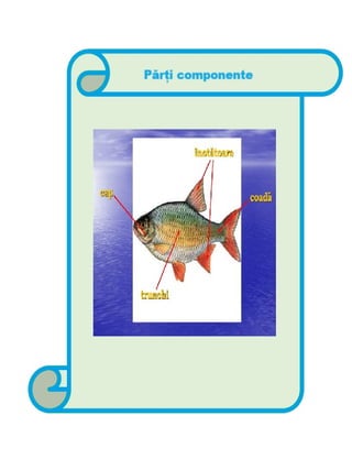 Harta proiectului Animale marine-GRUPA MARE.docx